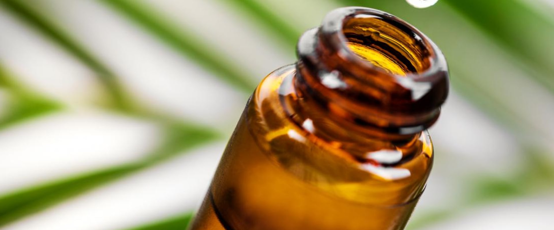 Tea Tree Oil for Skin Healing: An Overview